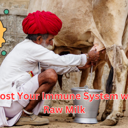 100% Pure & Fresh Raw Milk in Dubai | Home Delivery Service