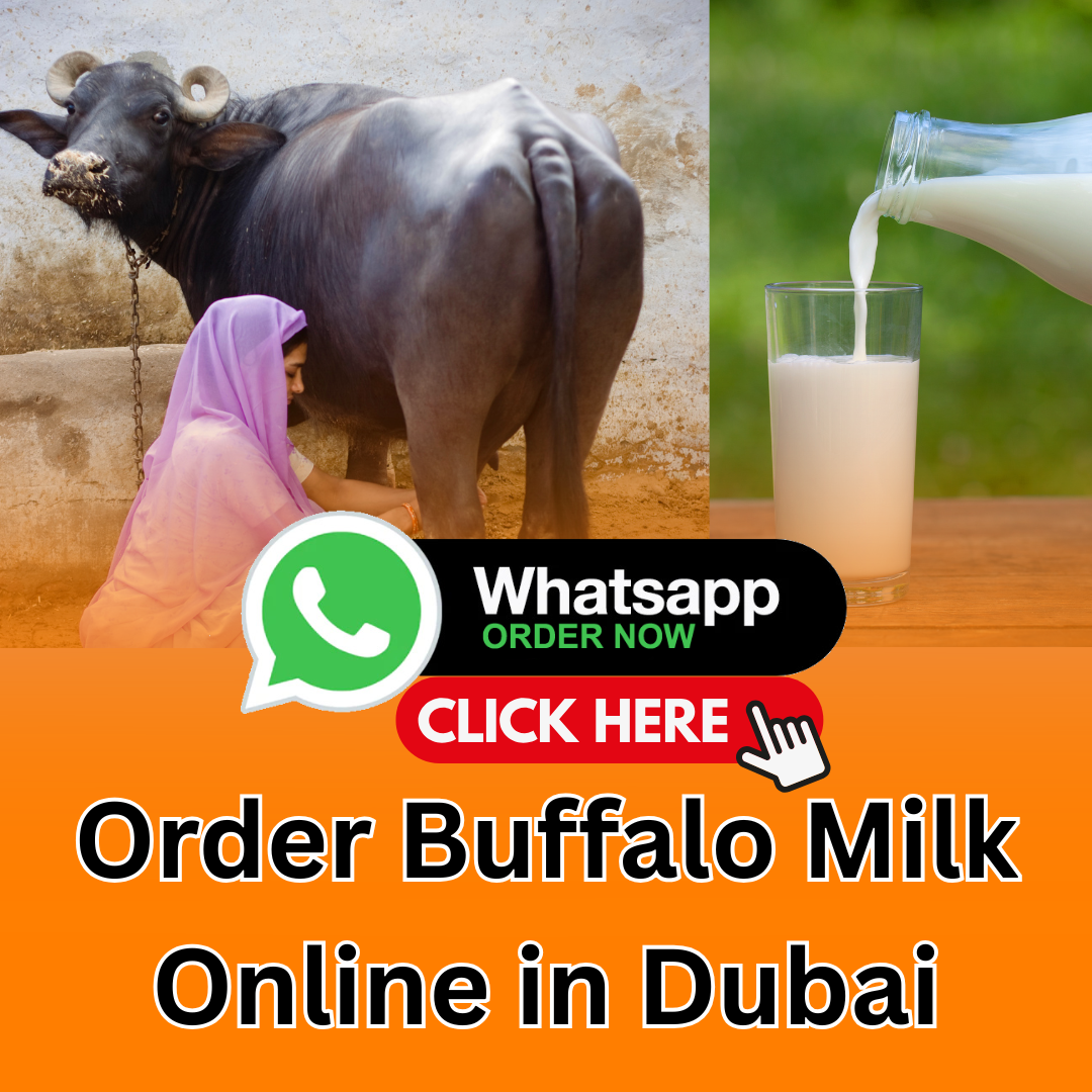 Buy Fresh Buffalo Milk in Dubai with Home Delivery | Raw Milk in Dubai